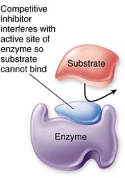 Enzyme Inhibitor