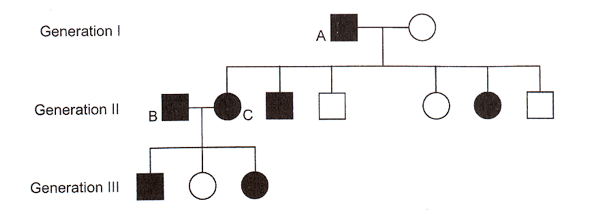 Genetic Pedigree Charts